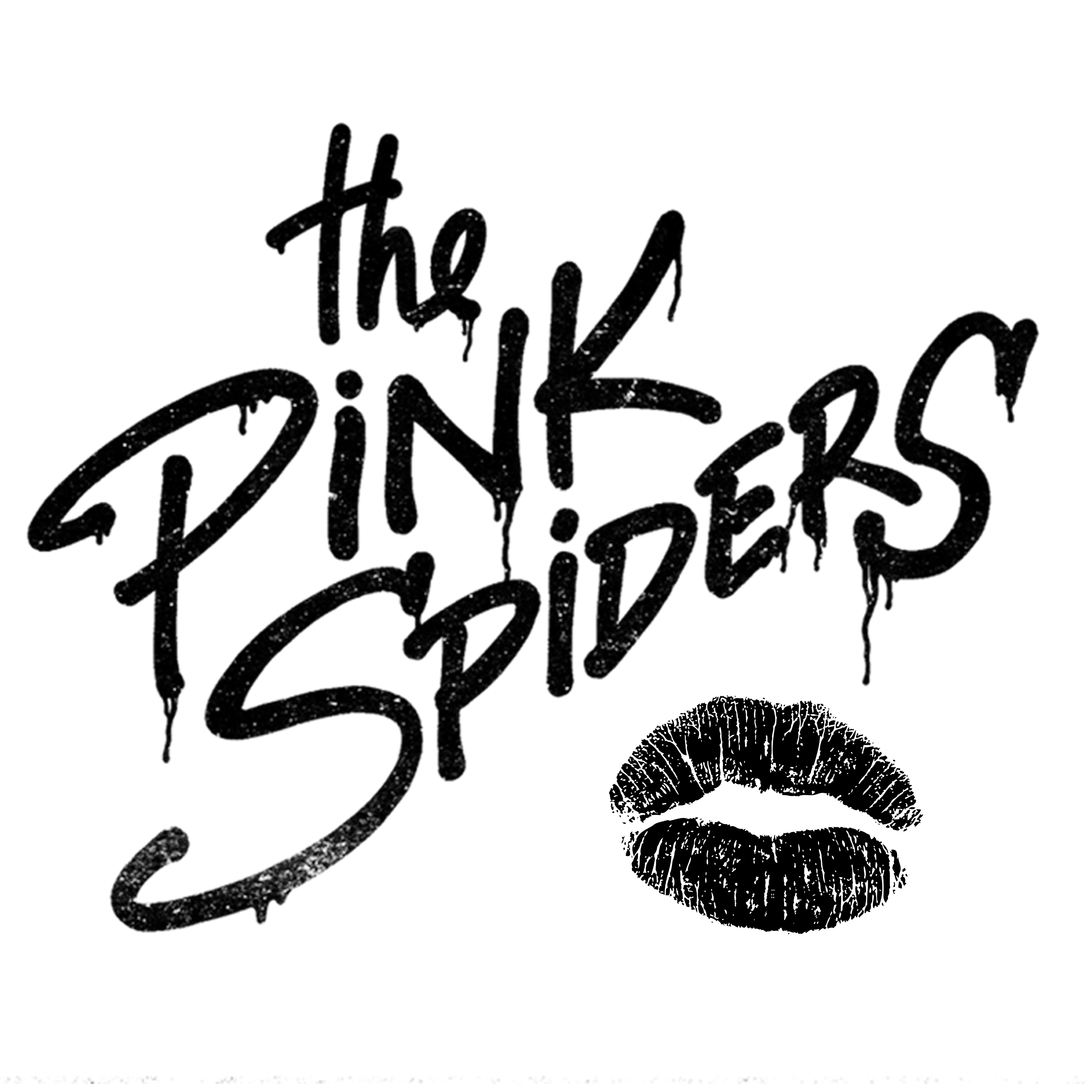 The Pink Spiders Store